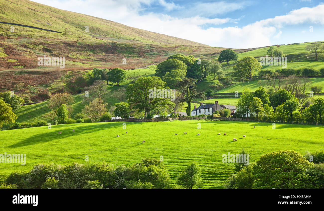 Beautiful lake district national park hi-res stock photography and ...