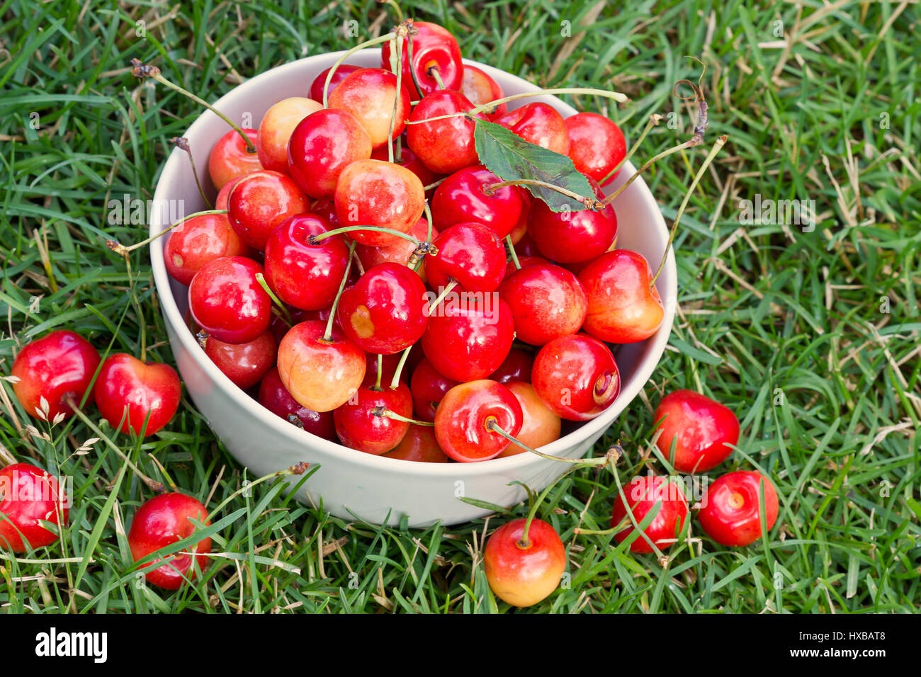 Fresh tasty sweet cherry berry Stock Photo - Alamy