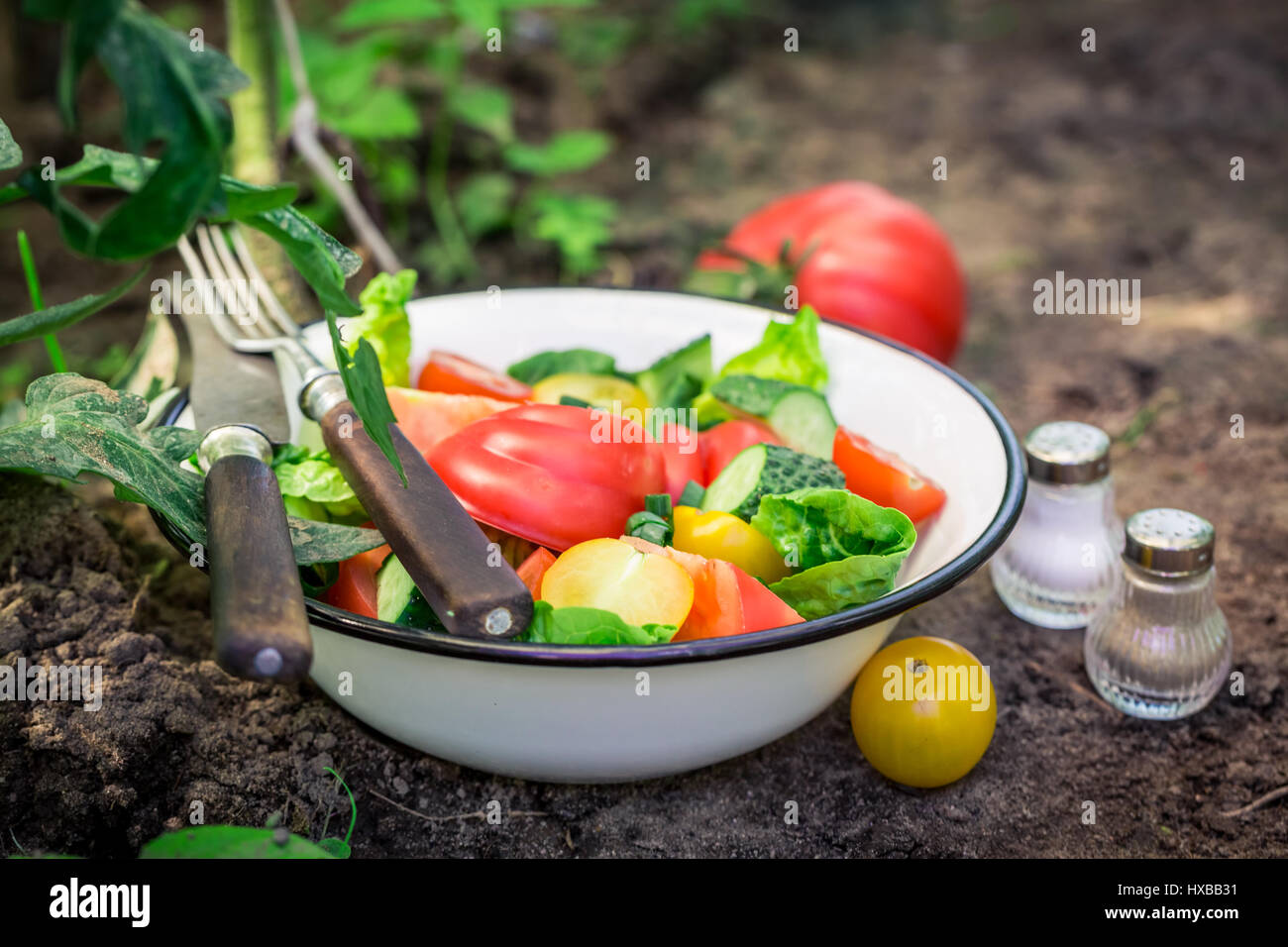 Fresh vegetables from countryside Stock Photo - Alamy