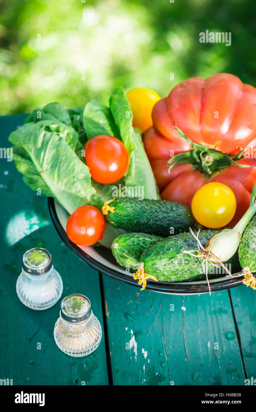 Healthy vegetables from countryside Stock Photo - Alamy