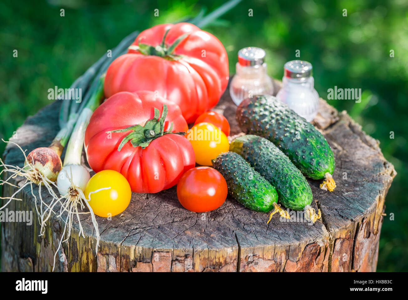 Healthy mix vegetables from greenhouse Stock Photo - Alamy