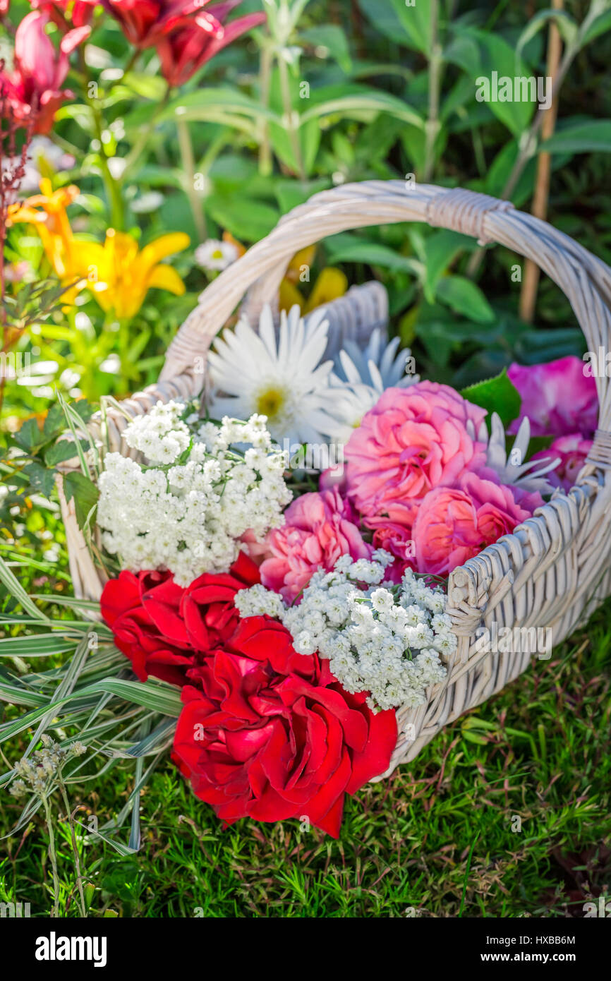 Hydrangeas flowers basket hi-res stock photography and images - Alamy