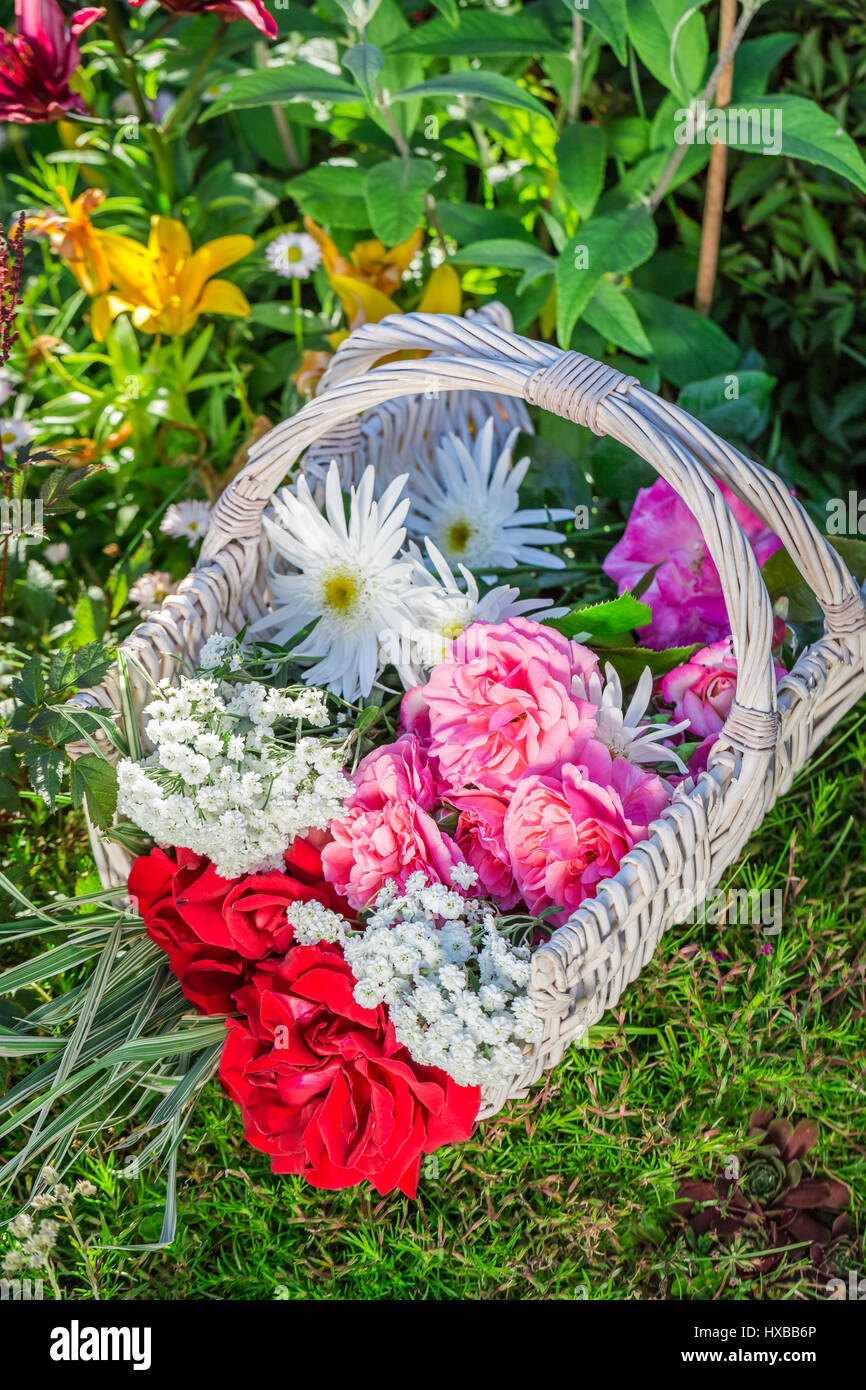 Beautiful flowers in basket Stock Photo - Alamy