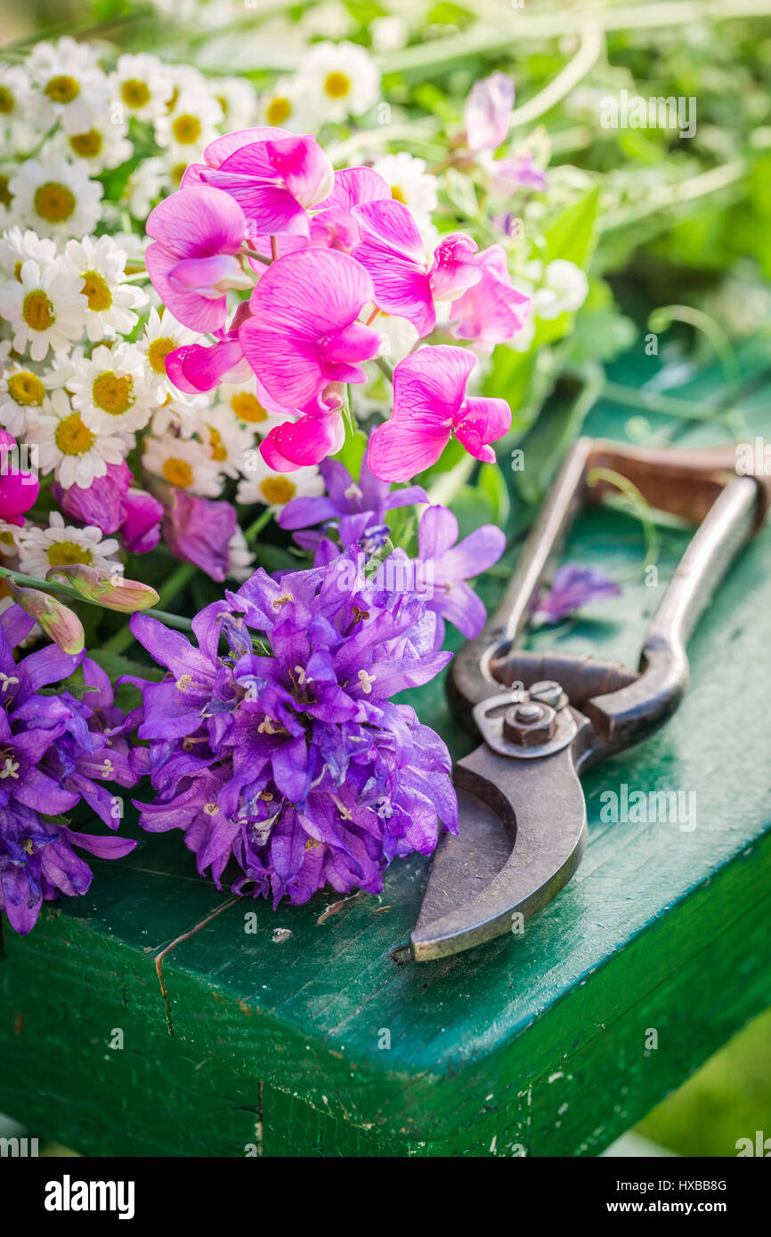 Cut flower types hi-res stock photography and images - Alamy