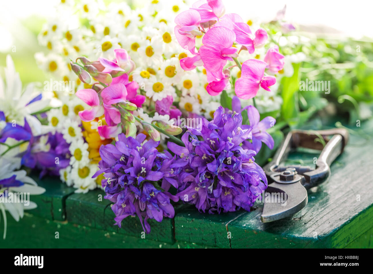 Freshly cut various types of flowers in summer garden Stock Photo - Alamy