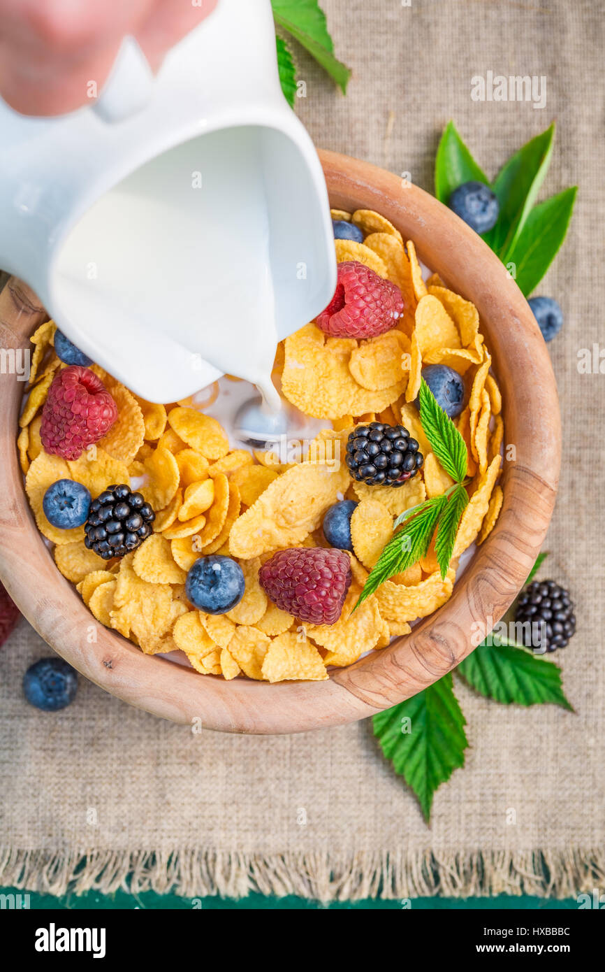 Healthy cornflakes with berry fruits and milk in garden Stock Photo - Alamy
