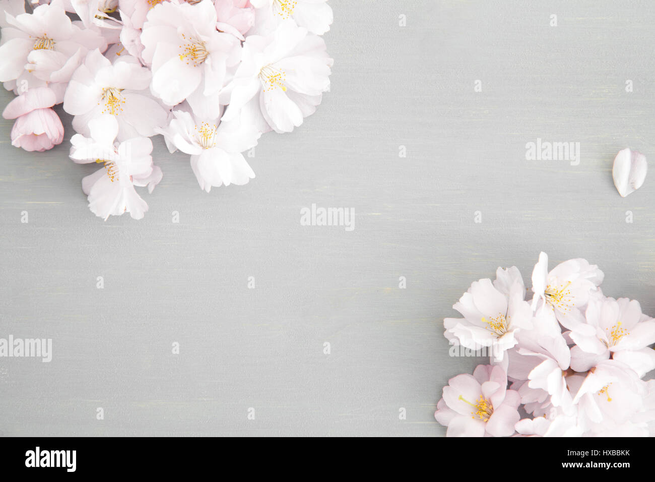 Christening background hi-res stock photography and images - Alamy