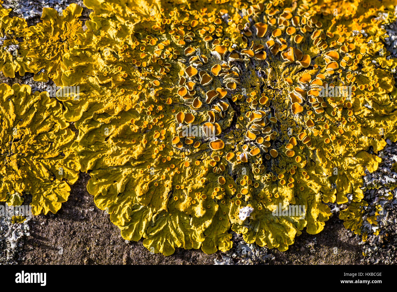 Well lit image hi-res stock photography and images - Alamy