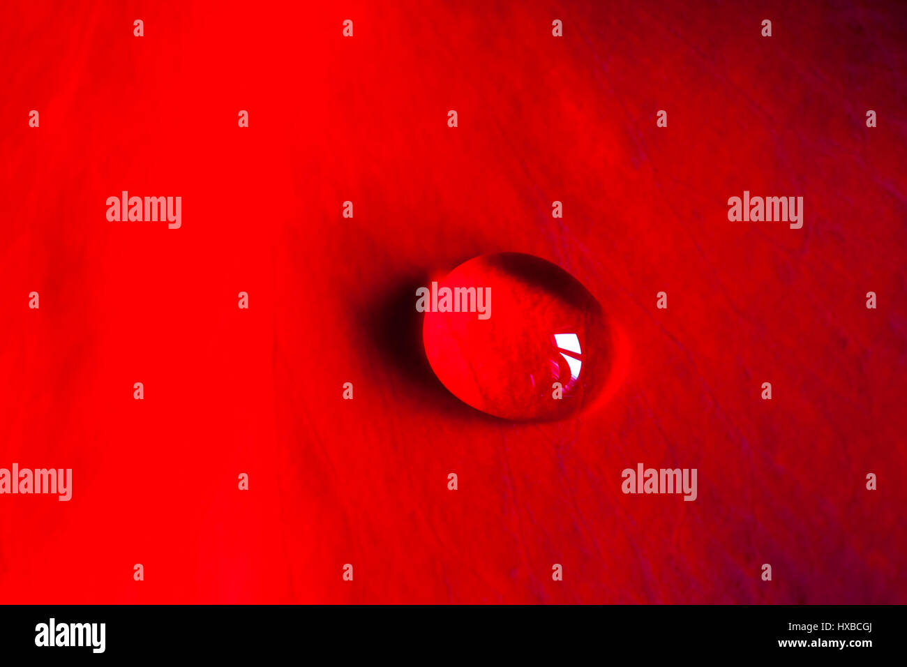 Soft romantic shot Stock Photo - Alamy