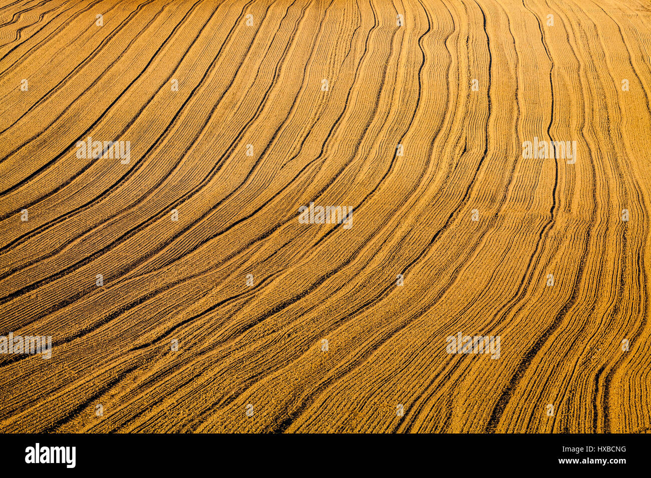 Well detailed lines in the fields Stock Photo - Alamy