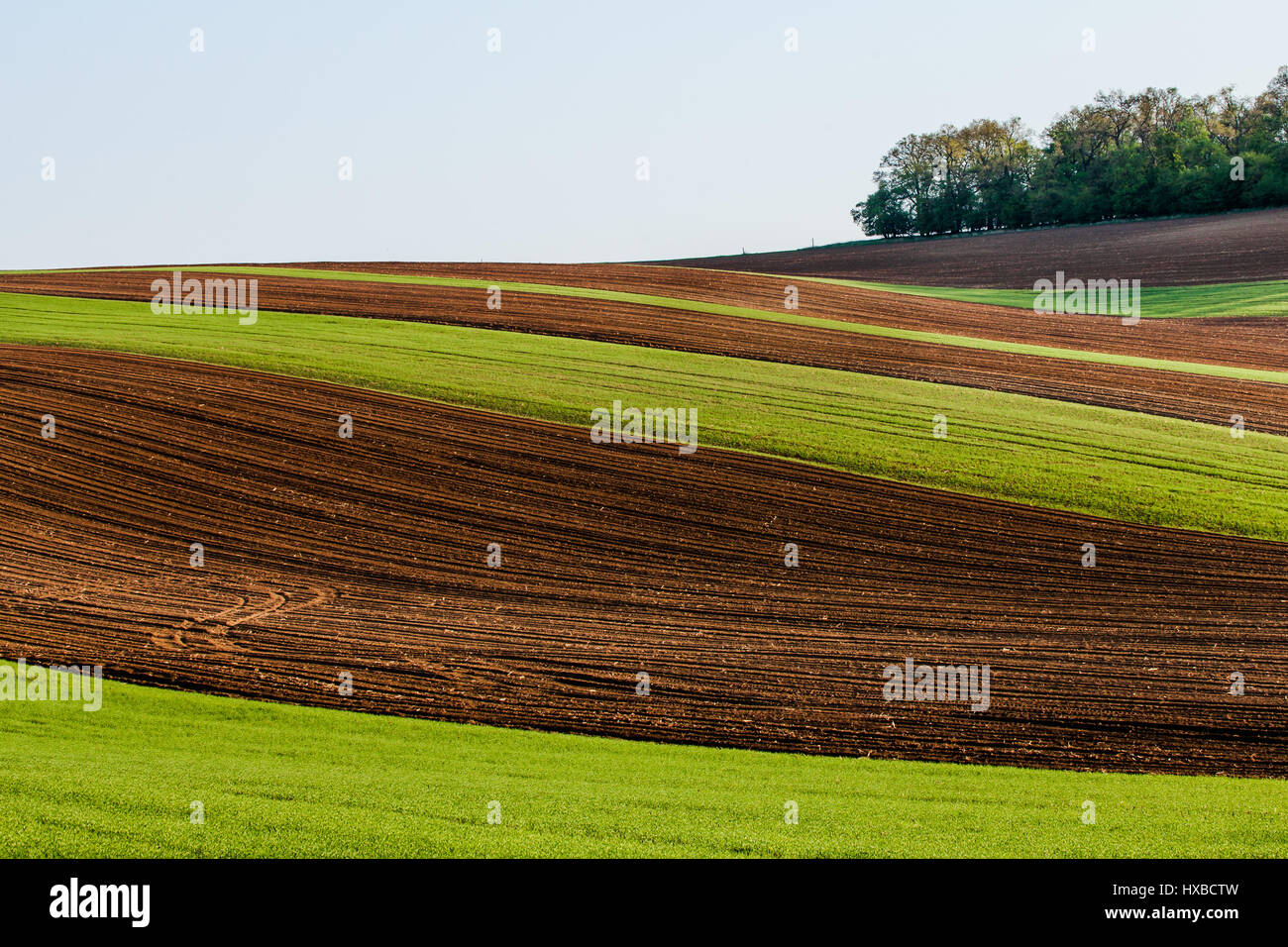 Colorful field patterns Stock Photo - Alamy