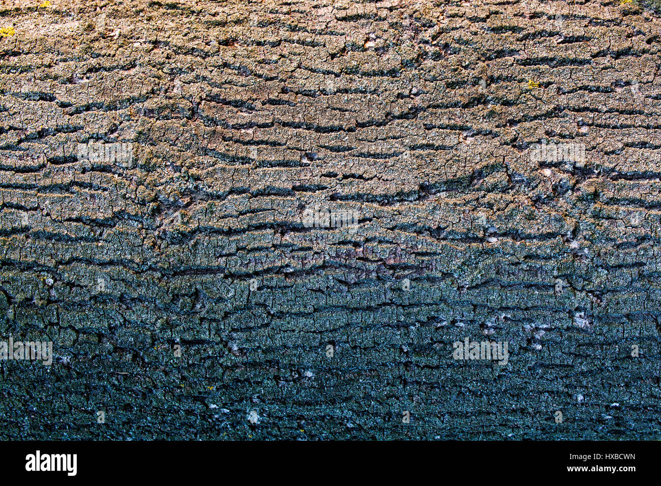 High quality sharp texture Stock Photo - Alamy