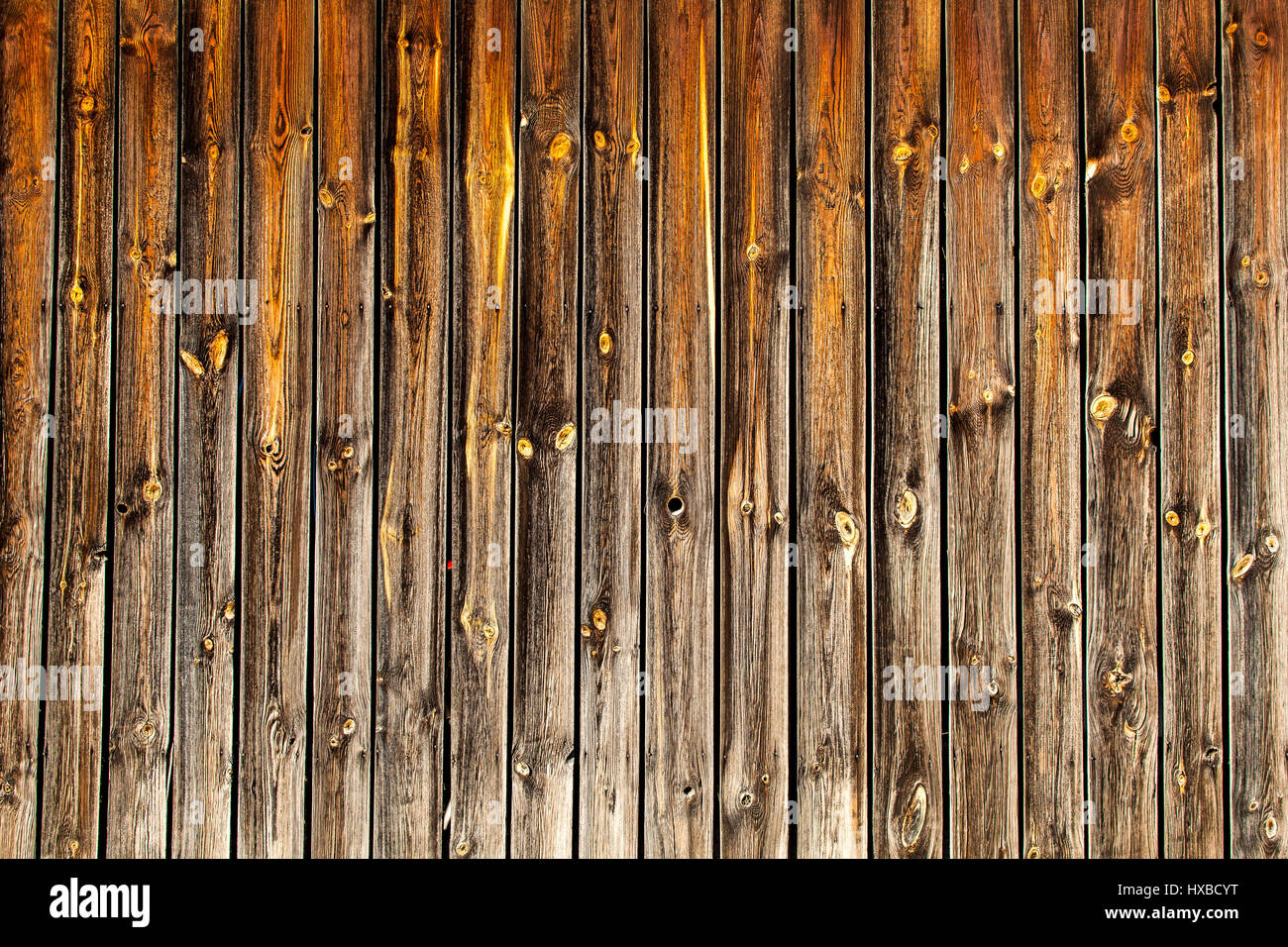 High quality sharp texture Stock Photo - Alamy