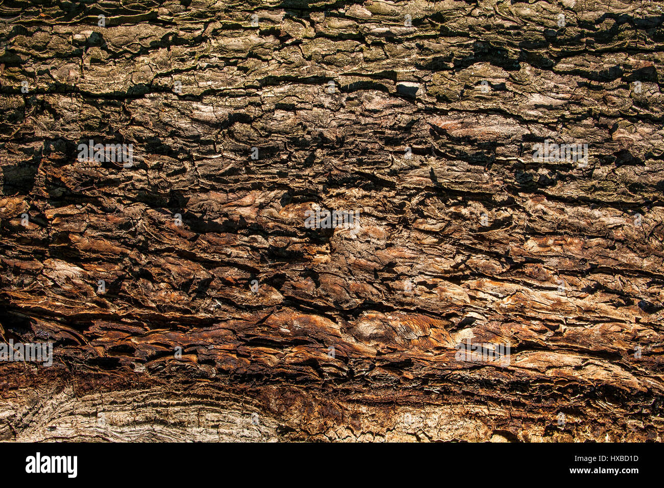 High quality sharp texture Stock Photo - Alamy