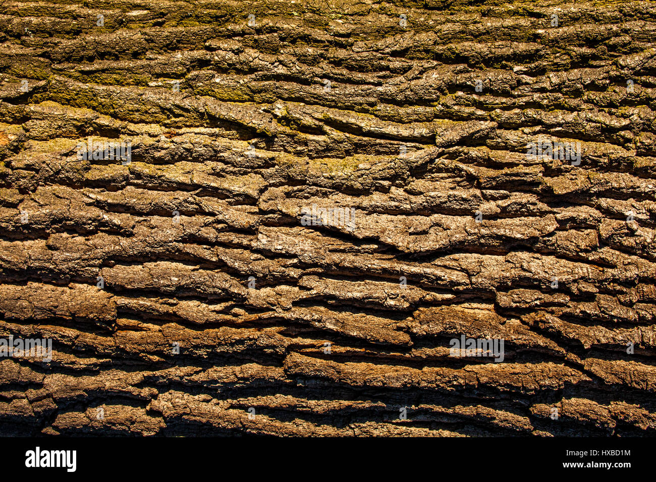 High quality sharp texture Stock Photo - Alamy