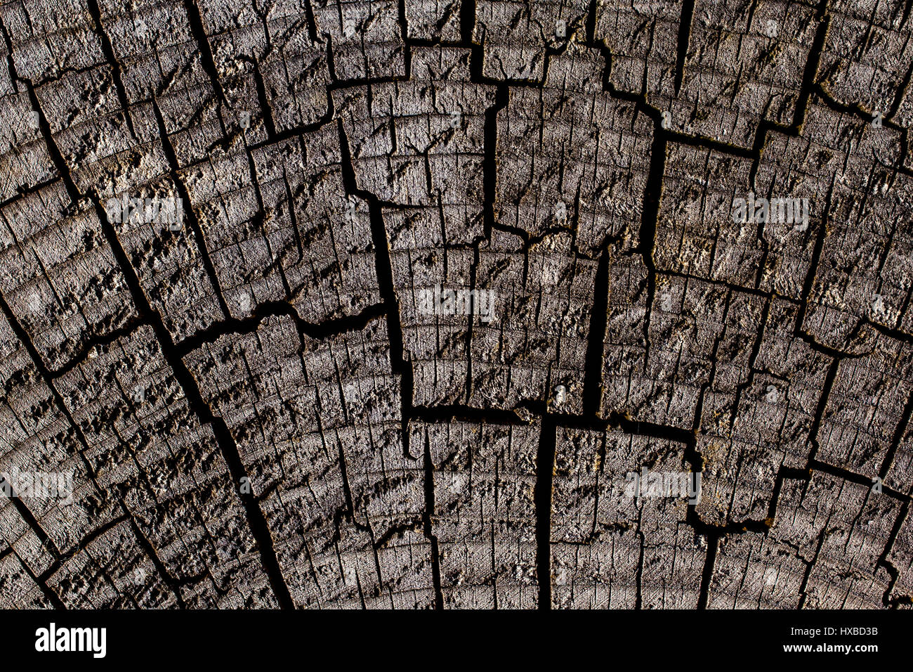 Interesting well lit abstract cracked wood texture Stock Photo - Alamy