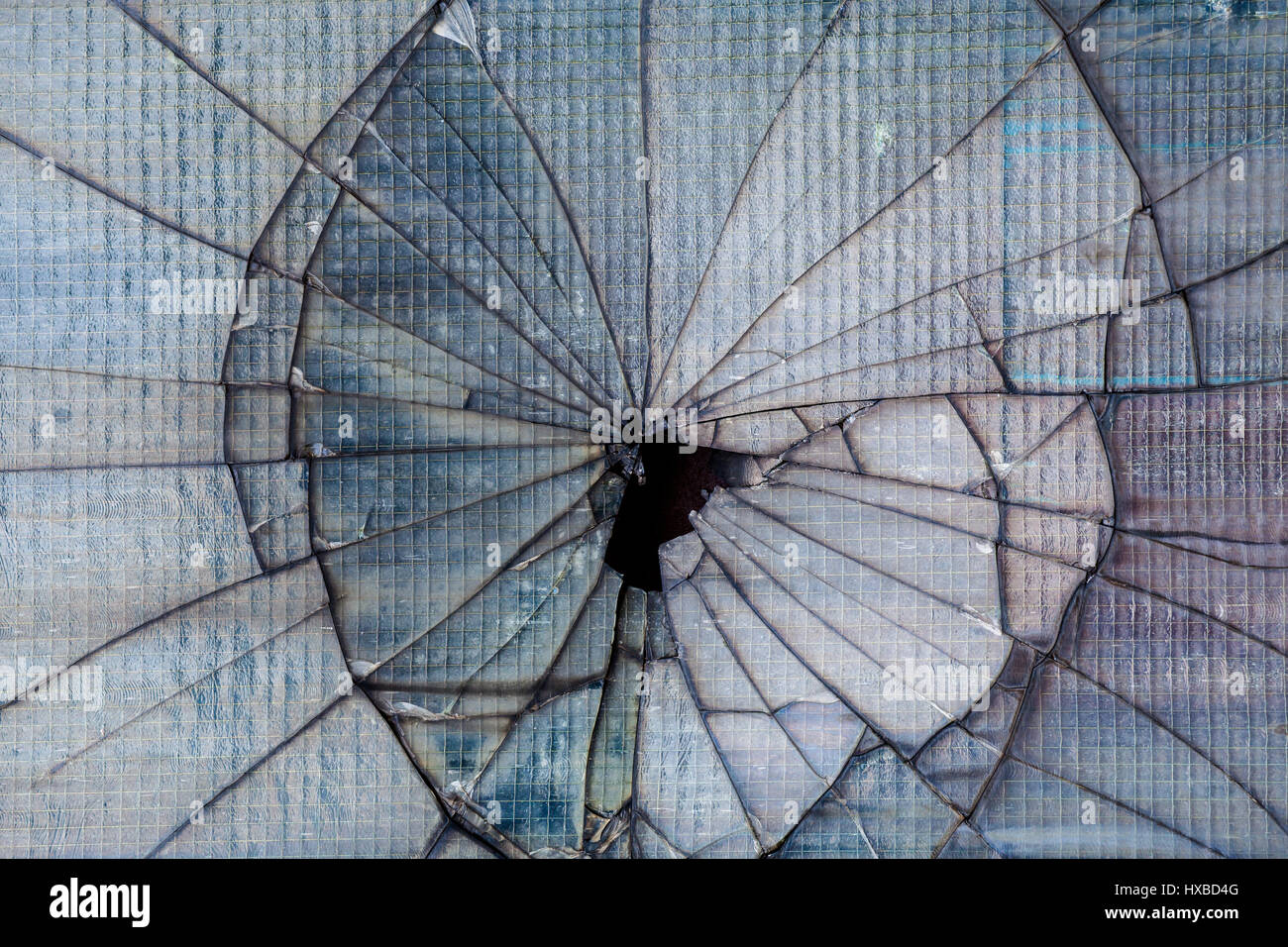 Quality texture hi-res stock photography and images - Alamy