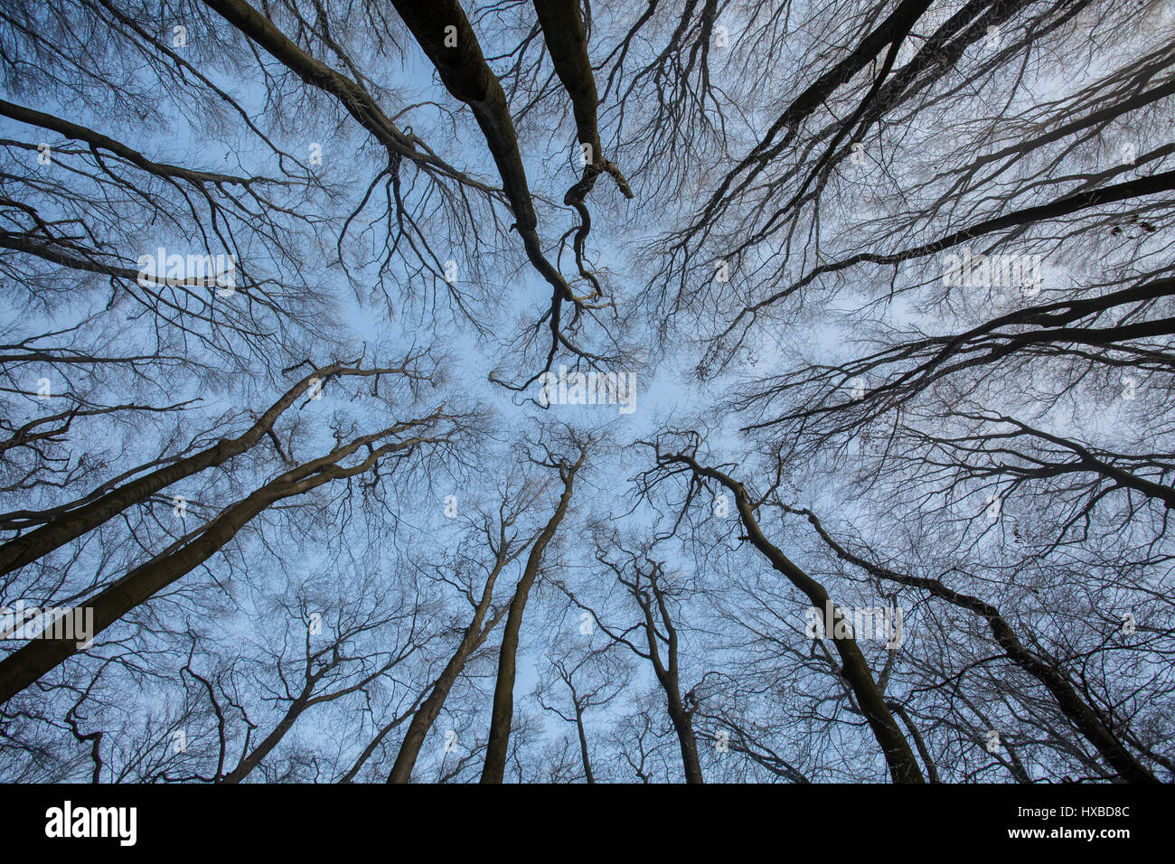 Wonderful wide angle perspective Stock Photo - Alamy