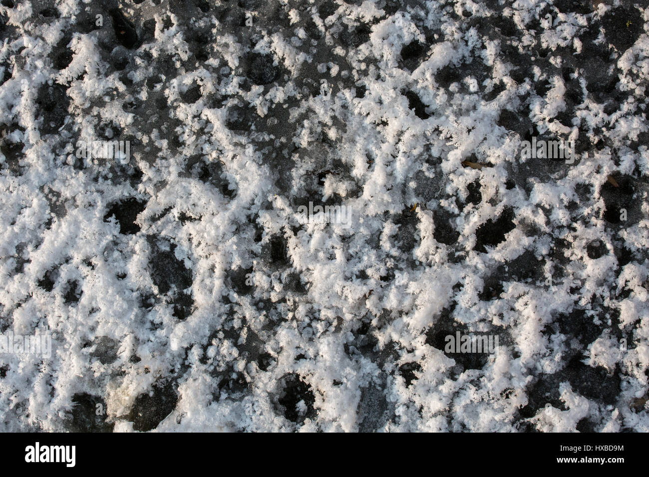 High quality well lit texture Stock Photo - Alamy