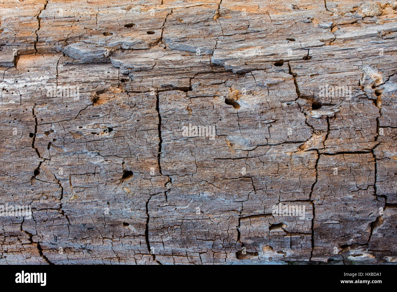 High quality well lit texture Stock Photo - Alamy