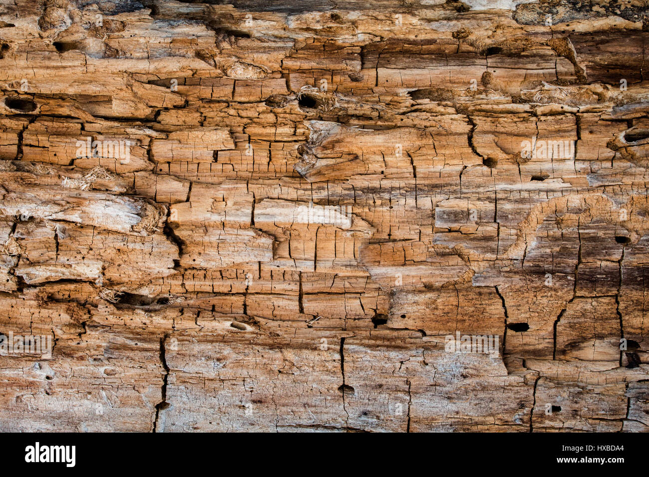 Well lit with natural light hi-res stock photography and images - Alamy