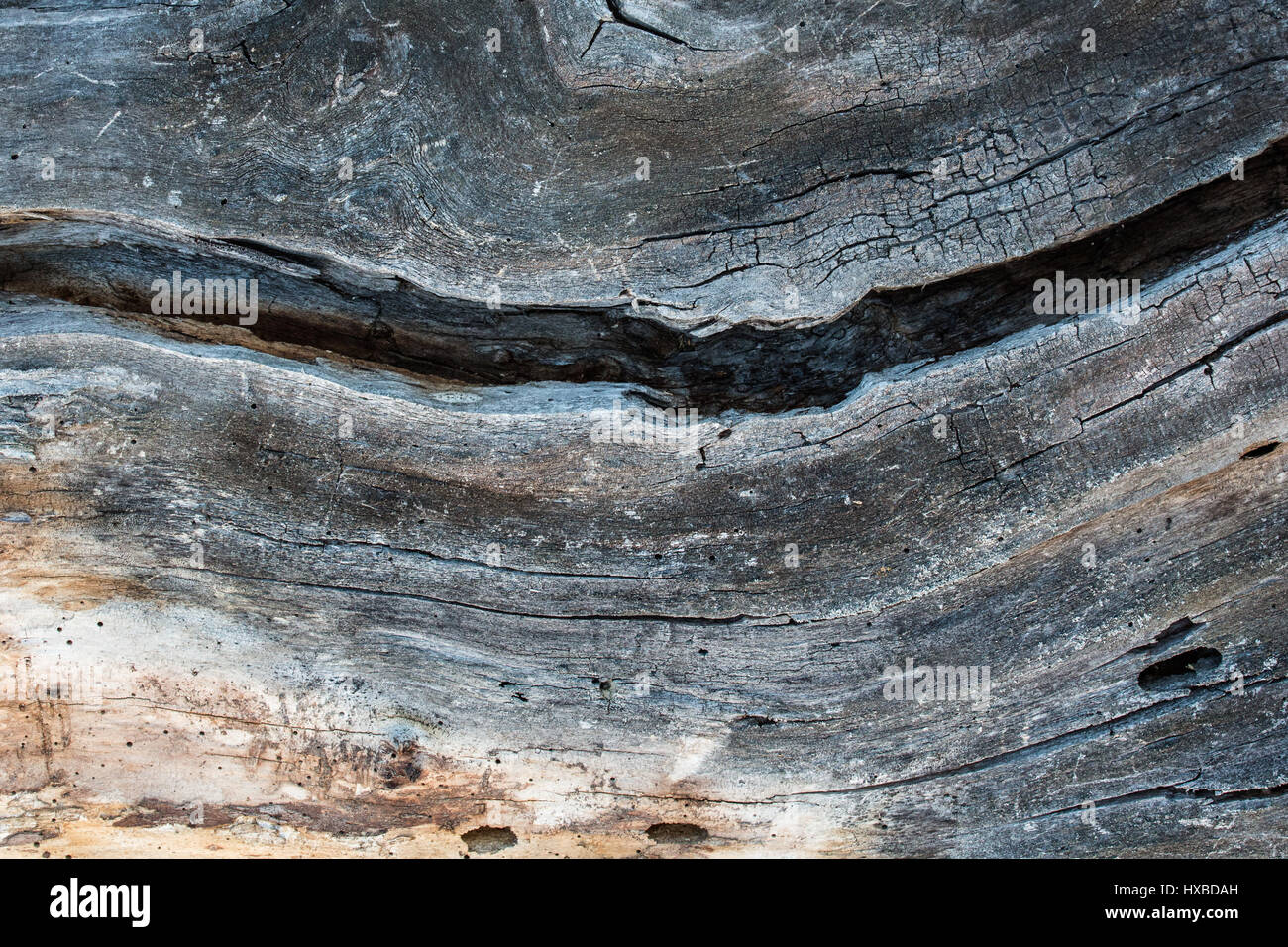 High quality well lit texture Stock Photo - Alamy