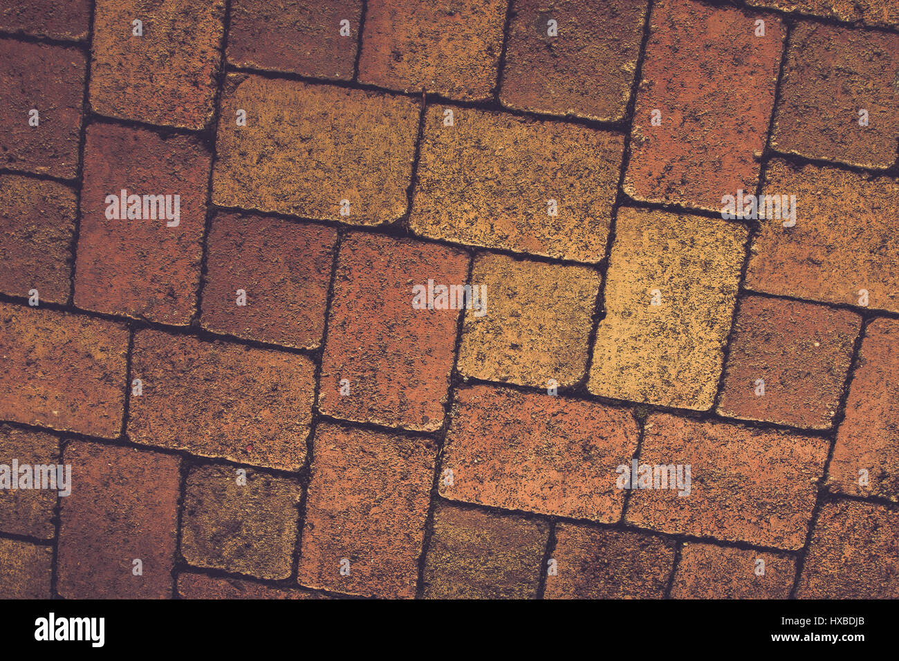 High quality detailed texture Stock Photo - Alamy