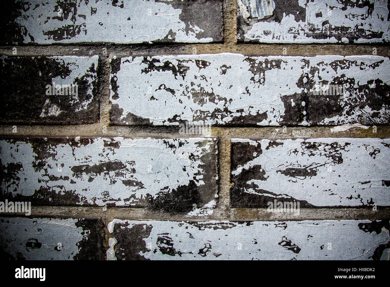 High quality detailed texture Stock Photo - Alamy