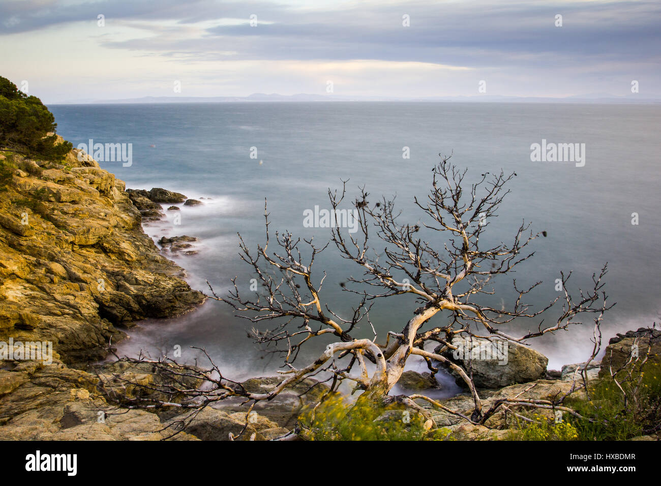Cruz de provence hi-res stock photography and images - Alamy