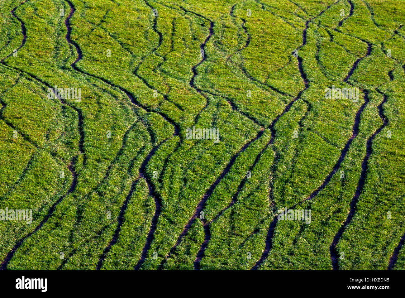 Track pattern hi-res stock photography and images - Alamy