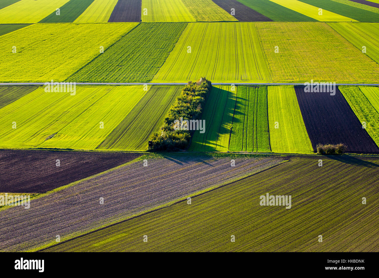 Austrian fields creating interesting patterns Stock Photo - Alamy