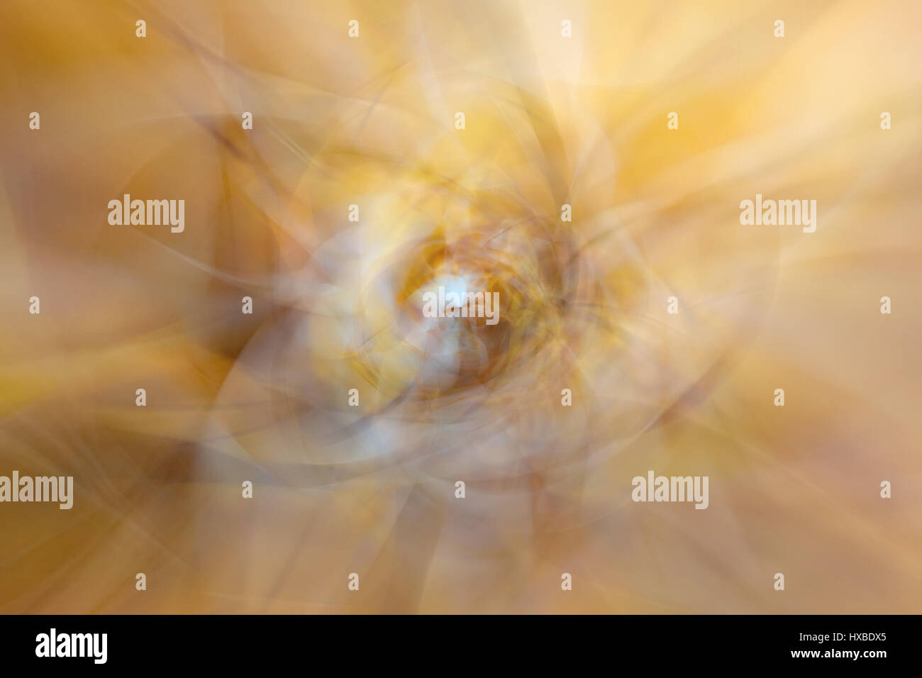 Orange abstract background blurred round objects Stock Photo - Alamy