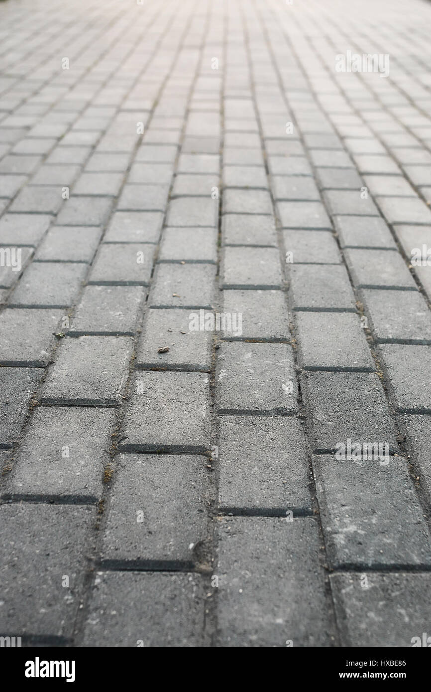 paving stone path goes away the prospect in sunset Stock Photo - Alamy