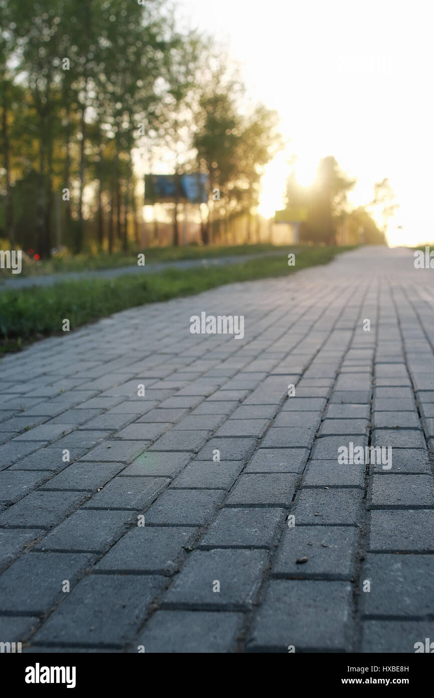 paving stone path goes away the prospect in sunset Stock Photo - Alamy