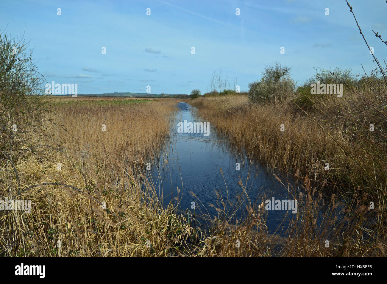 Otmoor Uk Stock Photos & Otmoor Uk Stock Images - Alamy
