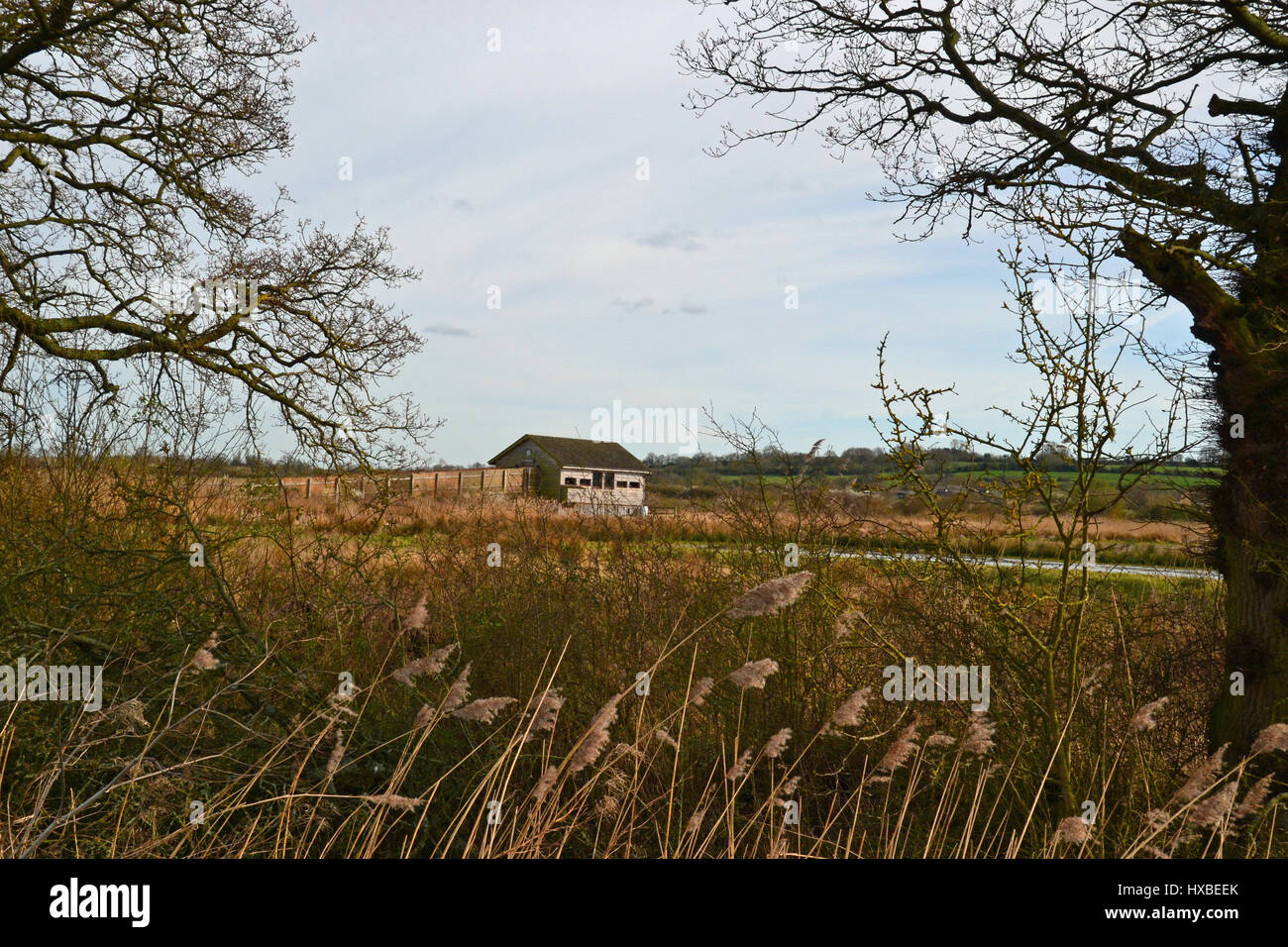 The Observatory at Otmoor Nature Reserve, Oxfordshire, UK Stock Photo ...
