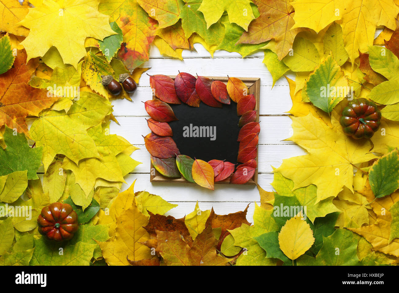 autumn leaves background shape round Stock Photo - Alamy