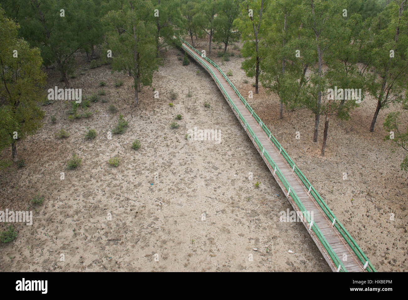 Bangladesh, The Sundarbans, the largest littoral mangrove forest in the ...