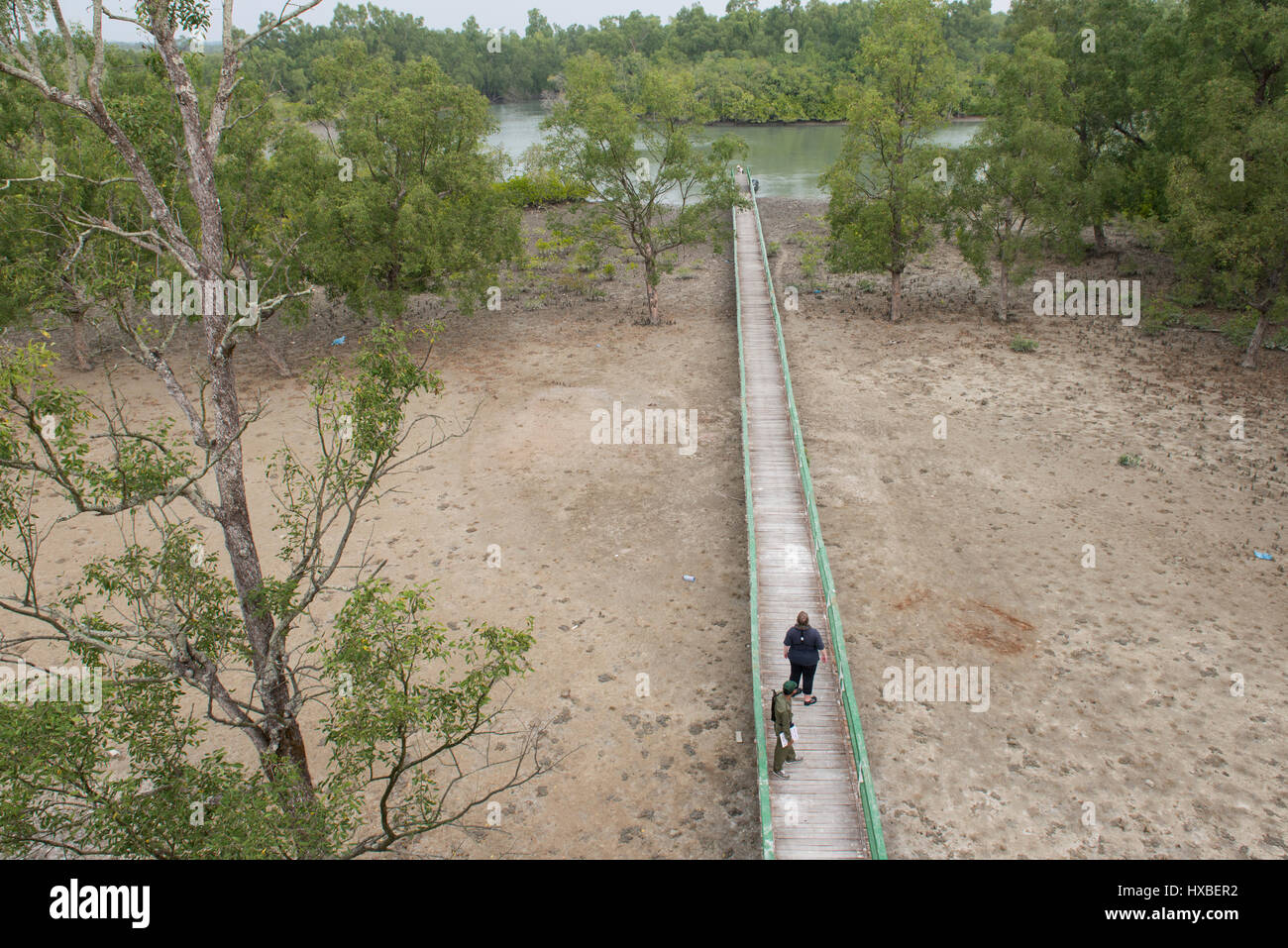 Bangladesh, The Sundarbans, the largest littoral mangrove forest in the ...