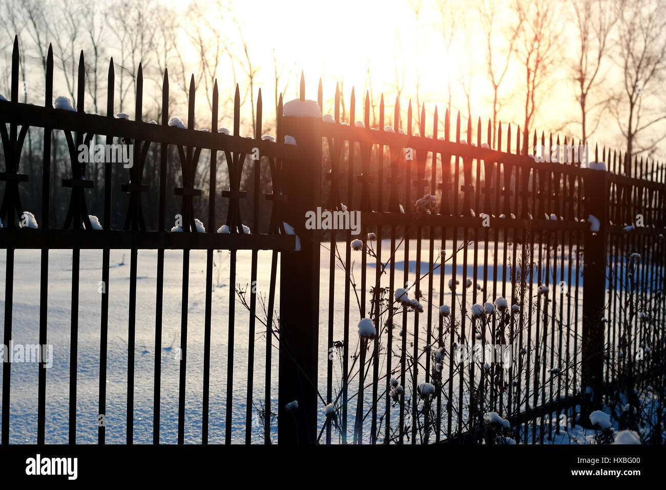 fence with spikes sun Stock Photo - Alamy