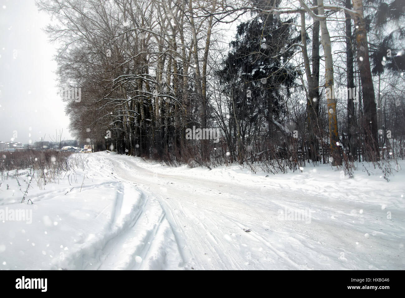 winter snow rustic road Stock Photo - Alamy