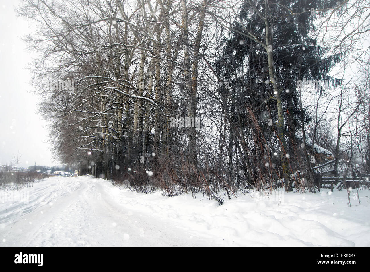 winter snow rustic road Stock Photo - Alamy