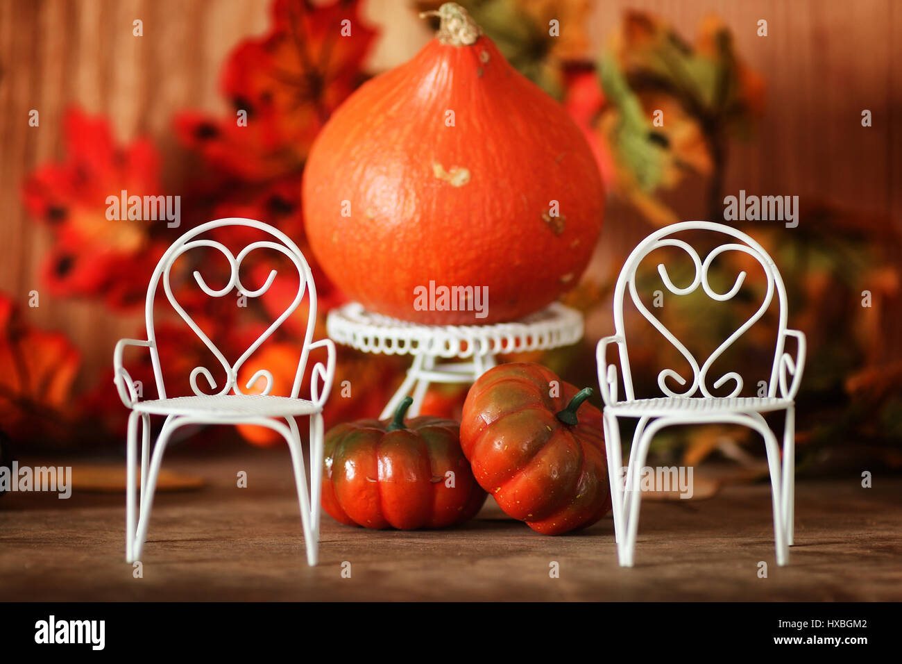 fresh pumpkin in interior wooden room on chair Stock Photo - Alamy
