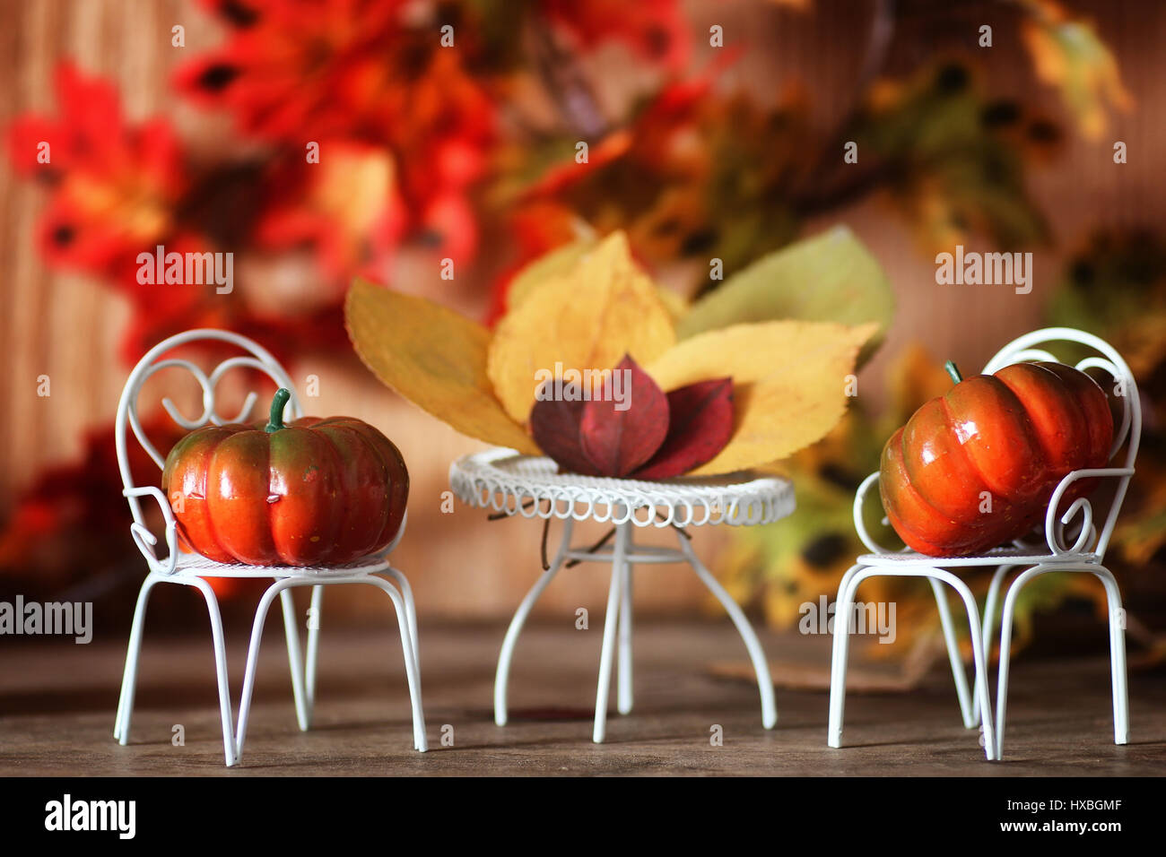 fresh pumpkin in interior wooden room on chair Stock Photo - Alamy