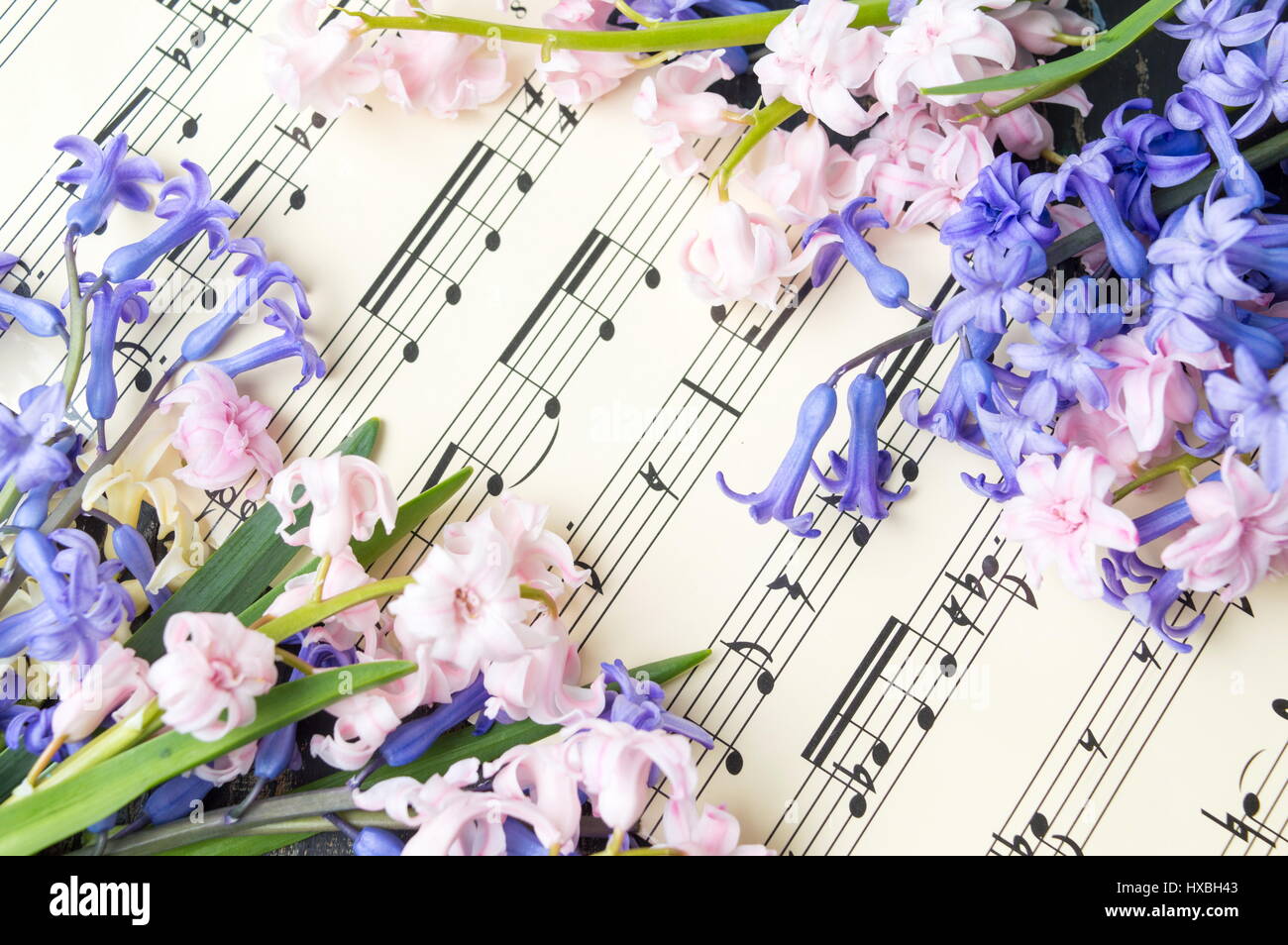 Flower Music Notes Backgrounds Music Note Flowers Stock Illustrations