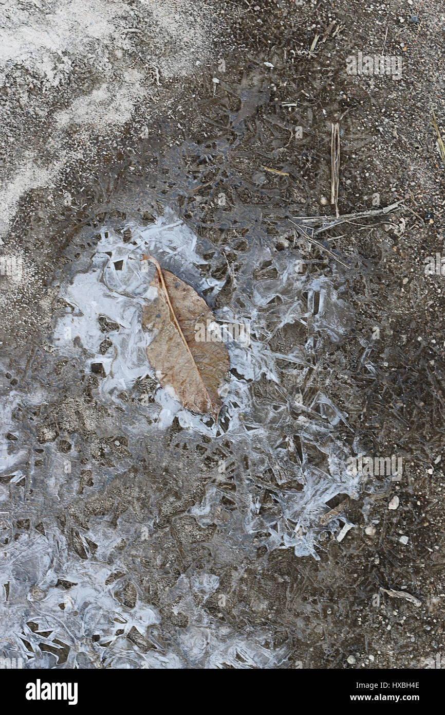 Puddle rime frost hi-res stock photography and images - Alamy