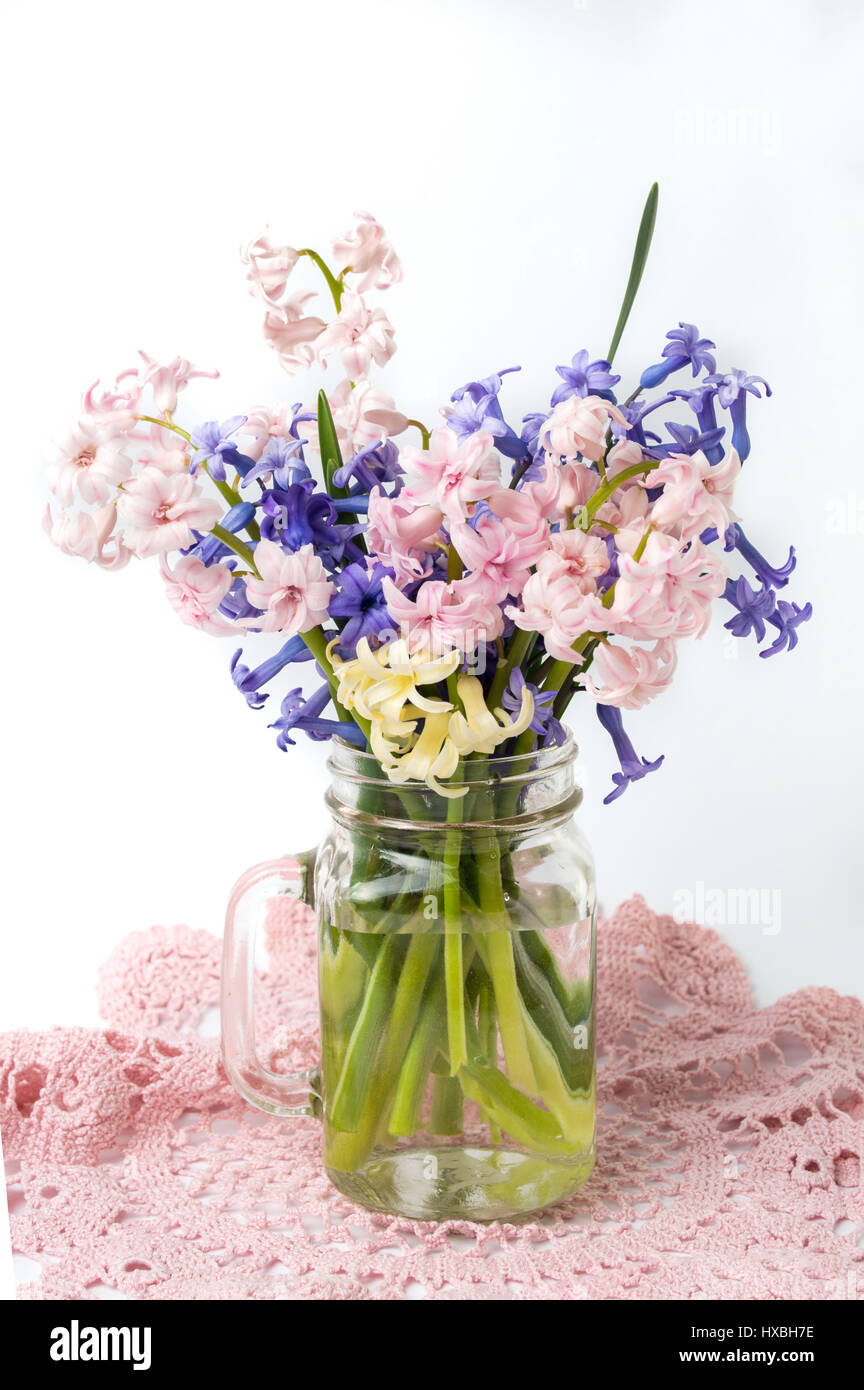 Different hyacinth flowers in a glass jar Stock Photo - Alamy