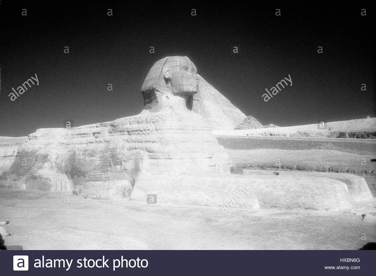 Great Sphinx Giza Paws Stock Photos & Great Sphinx Giza Paws Stock ...