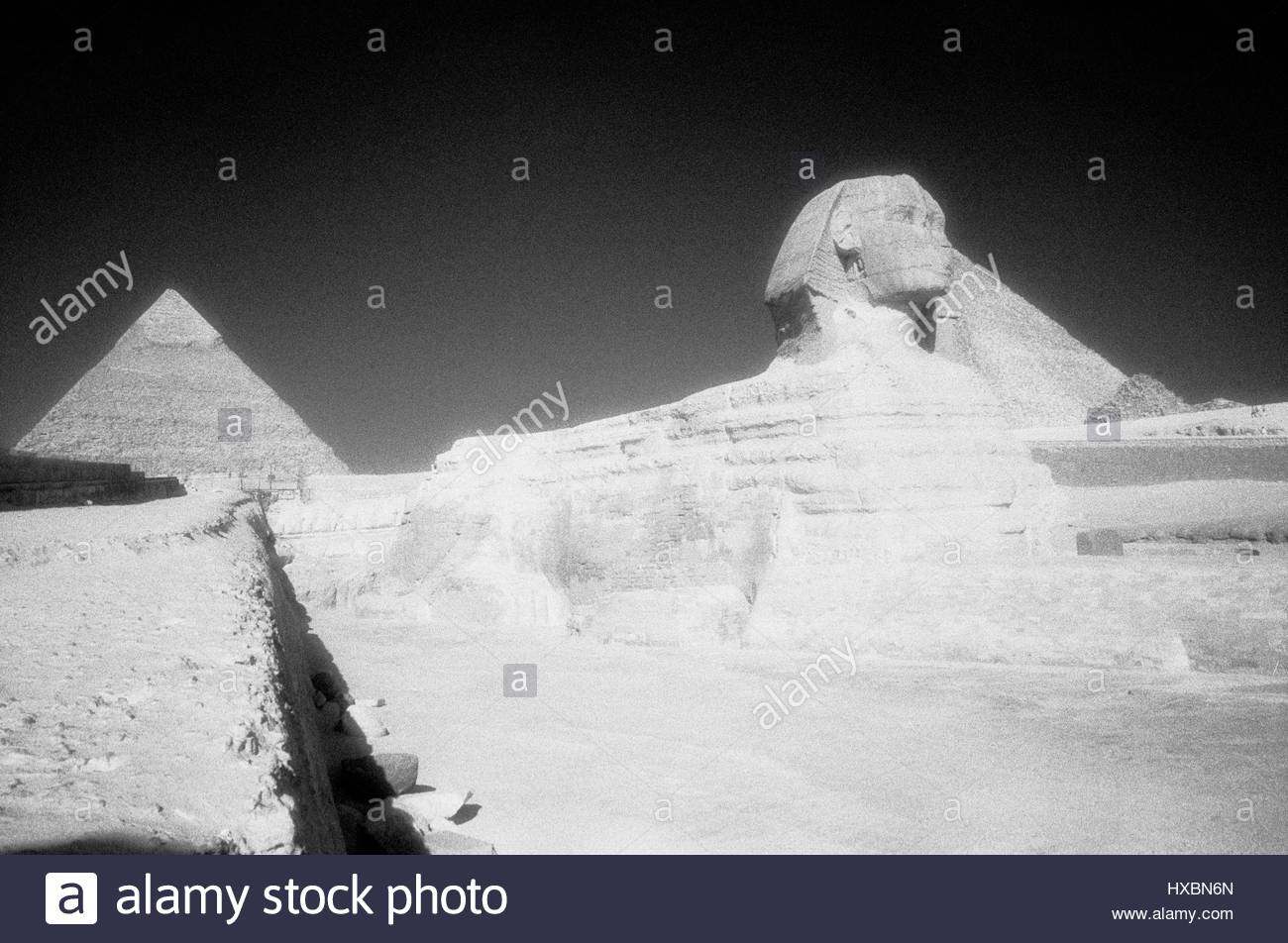 Great Sphinx Giza Paws Stock Photos & Great Sphinx Giza Paws Stock ...