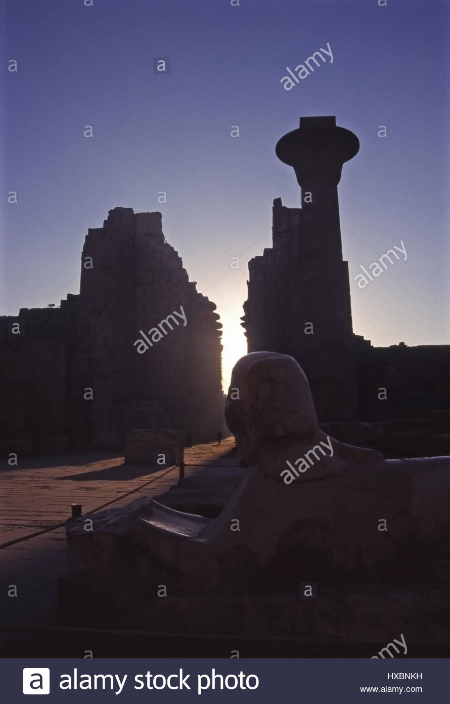 Taharqa Stock Photos & Taharqa Stock Images - Alamy